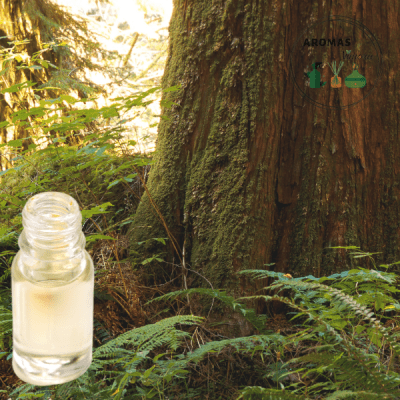 Aromas | Aromas Vimora