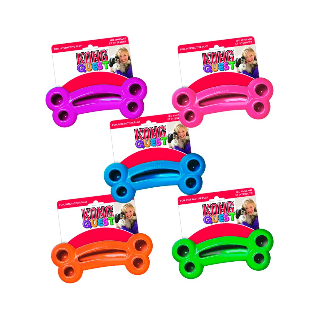 KONG QUEST BONE | Pet&Go Expert Store