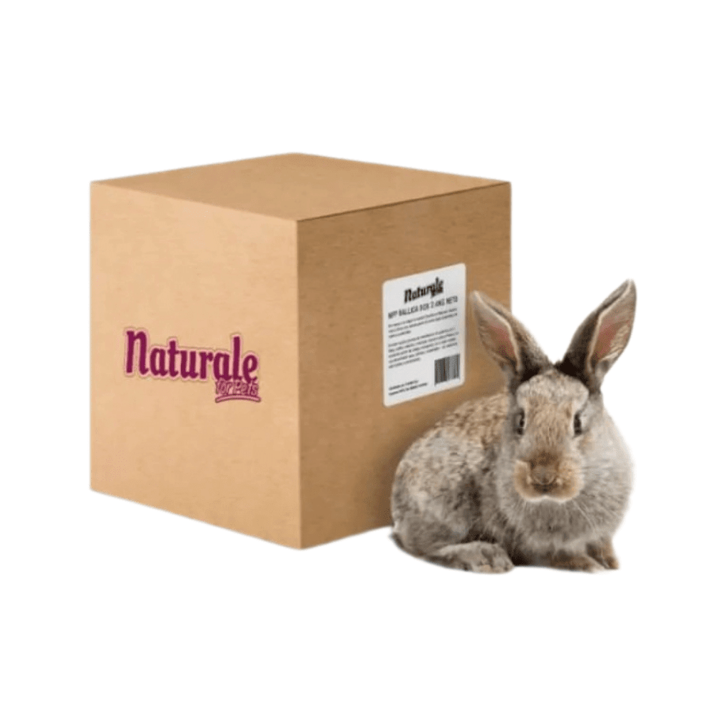 BALLICA BOX | Pet&Go Expert Store