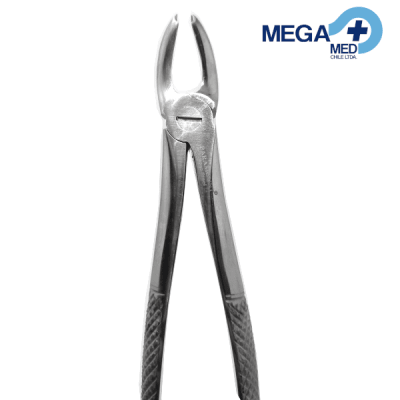 INSTRUMENTAL DENTAL FORCEPS | Megamed Chile Ltda