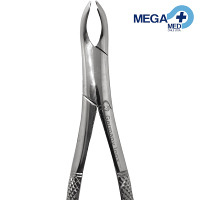 INSTRUMENTAL DENTAL FORCEPS | Megamed Chile Ltda
