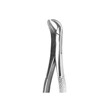 FORCEP # 23 CURVO S/BORDE DERECHO | ct-Megamed