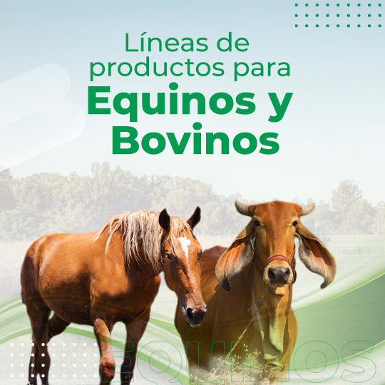 Farmavet Los Mancos | medicamentos, alimentos y accesorios
