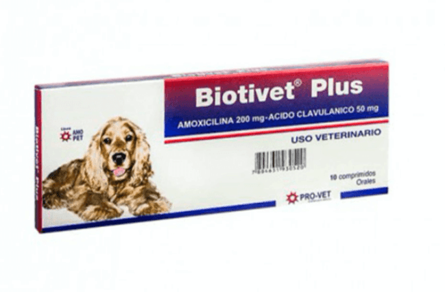 biotivet plus | Farmavet Los Mancos | medicamentos, alimentos y accesorios