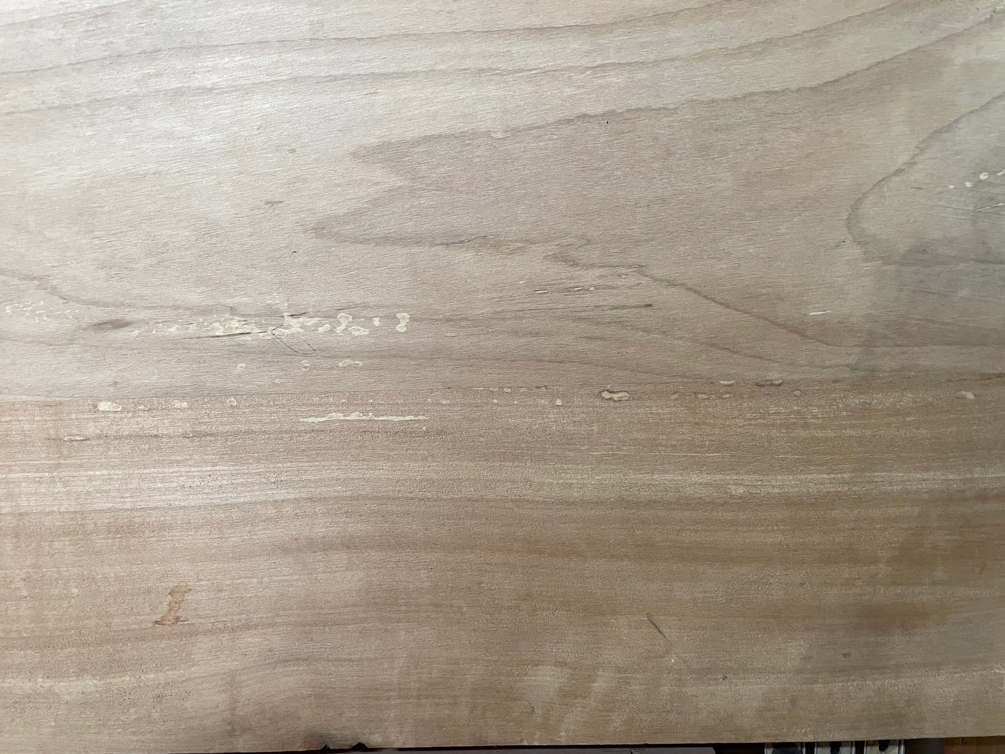 COIGUE | MADERAS TRANAPUENTE