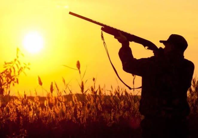 ¿Cómo obtener el permiso de caza? | Pescadores Limitada | Pesca ,Caza y ...