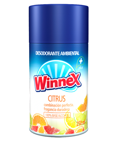 Winnex | Comercial Everest SPA