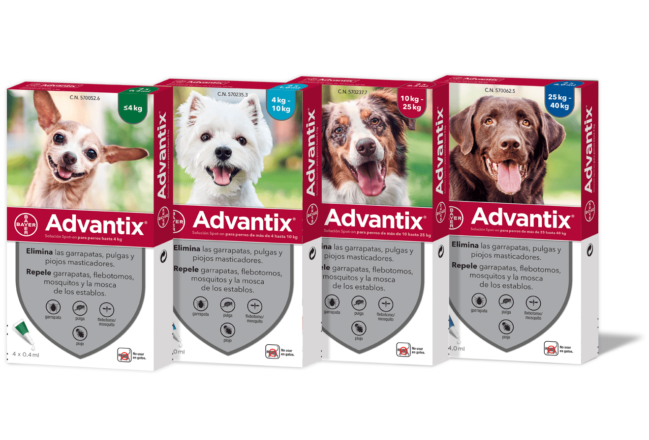 ADVANTIX PARA PERROS | Pet Central