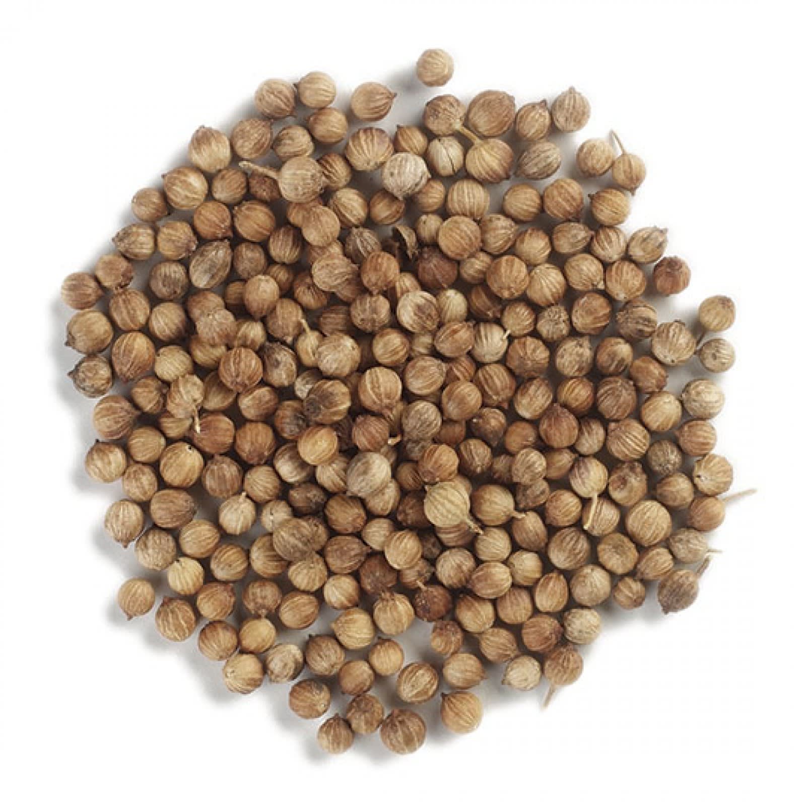 Semillas de Cilantro | Andina Grains