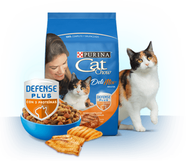 CUBI CAT ahora SABROCAT 8KG - 20KG | La Casa de las Mascotas