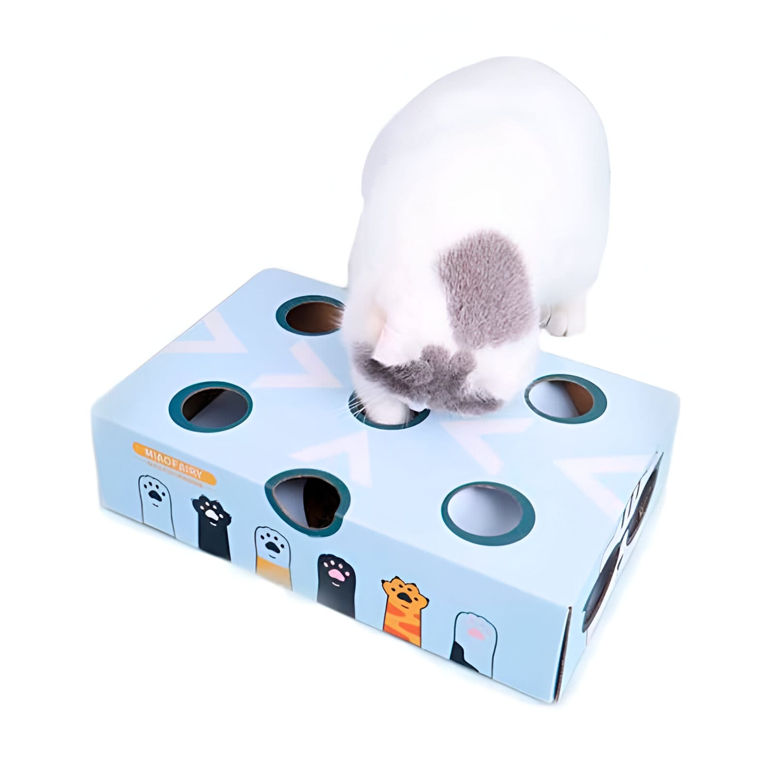 WONDER CAT CAJA INTERACTIVA PARA GATOS | La Casa de las Mascotas