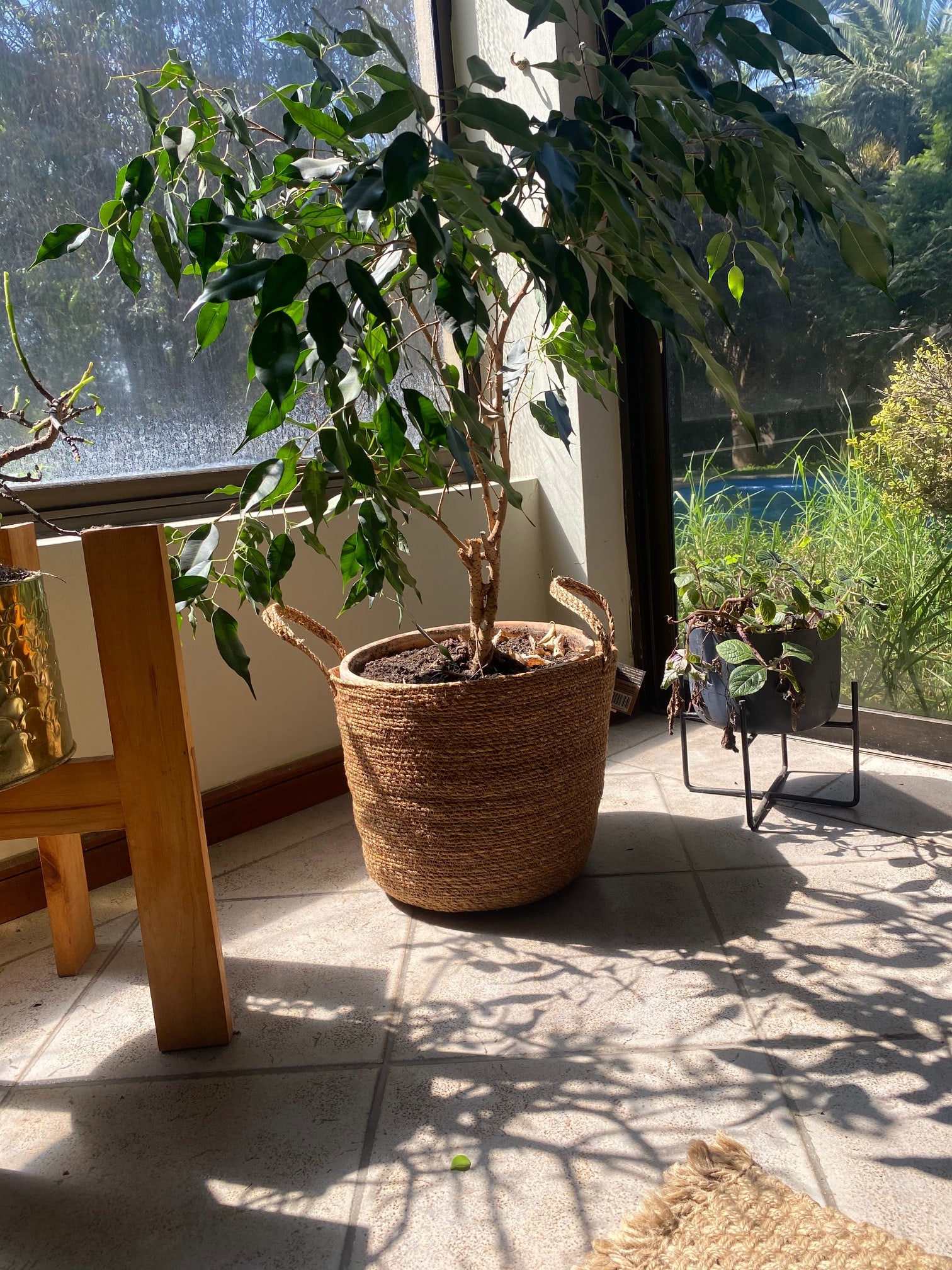 Maceteros Canastos | Decogreen