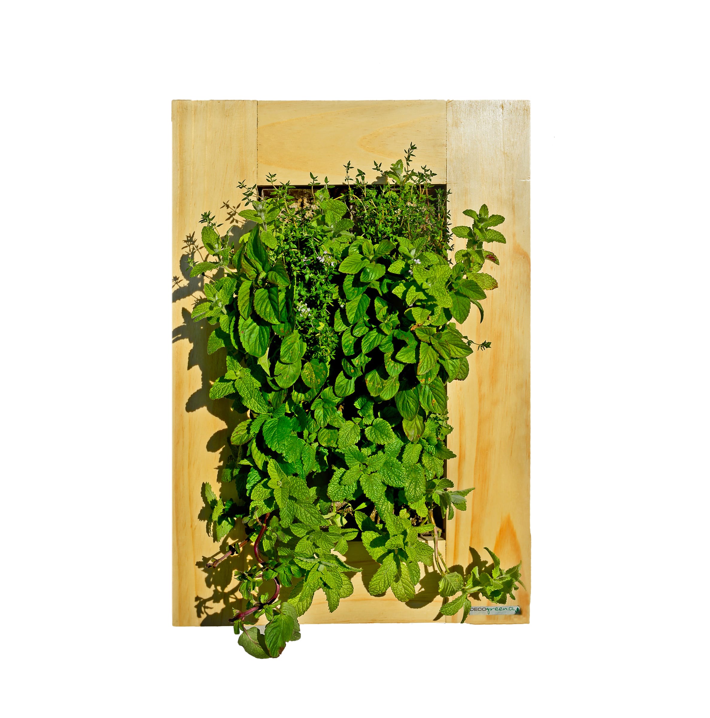 Cuadro Verde Natural 40x10x60cm | Decogreen