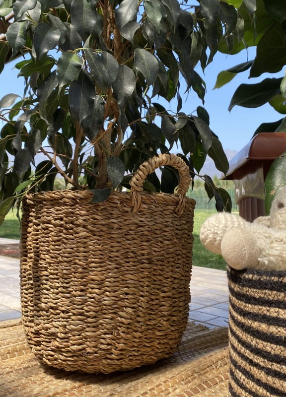 Canastos | Decogreen