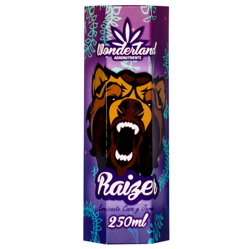 RAIZER WONDERLAND | Mosaikko