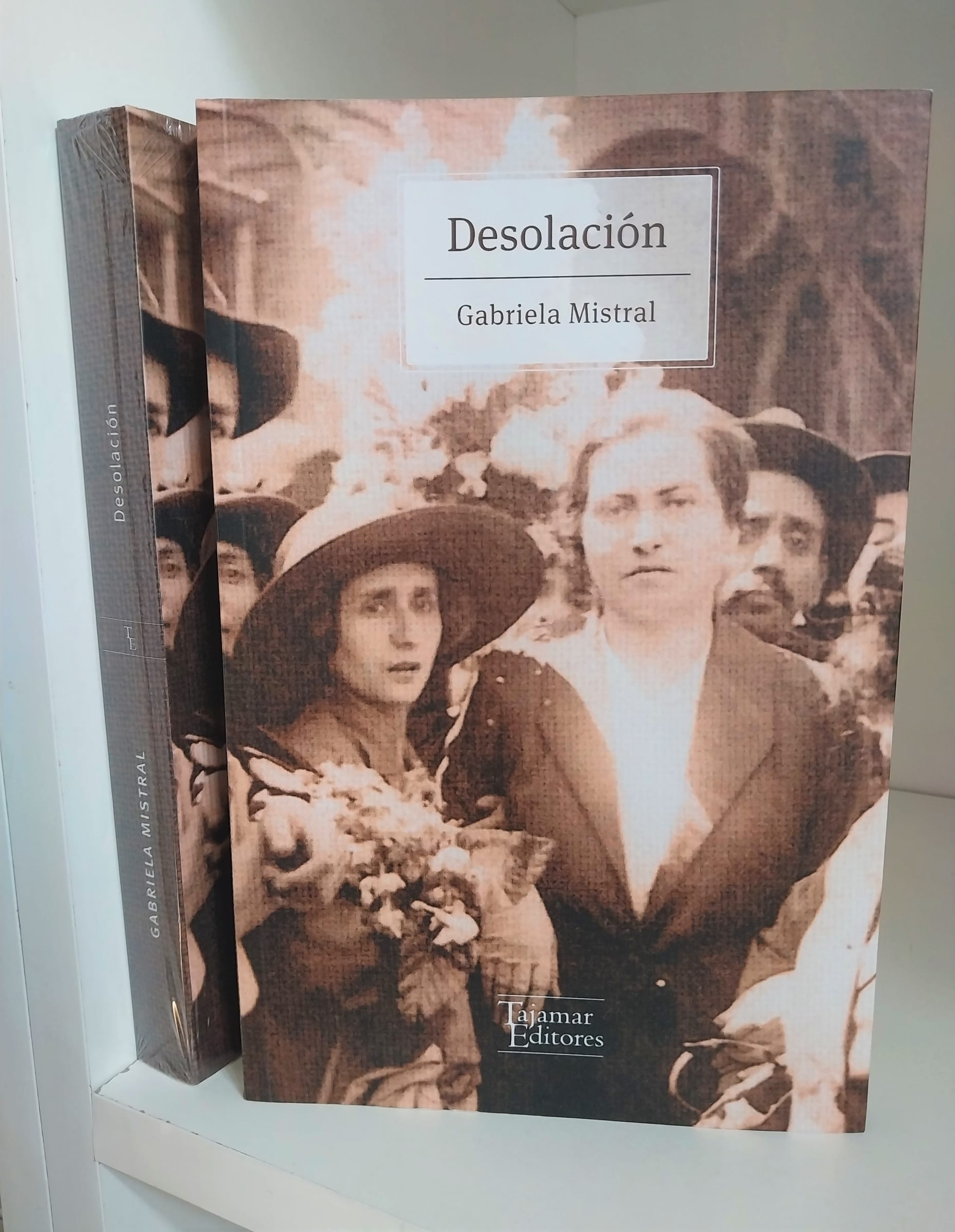 DESOLACIÓN | espaciopublicodelibroslibreria.cl