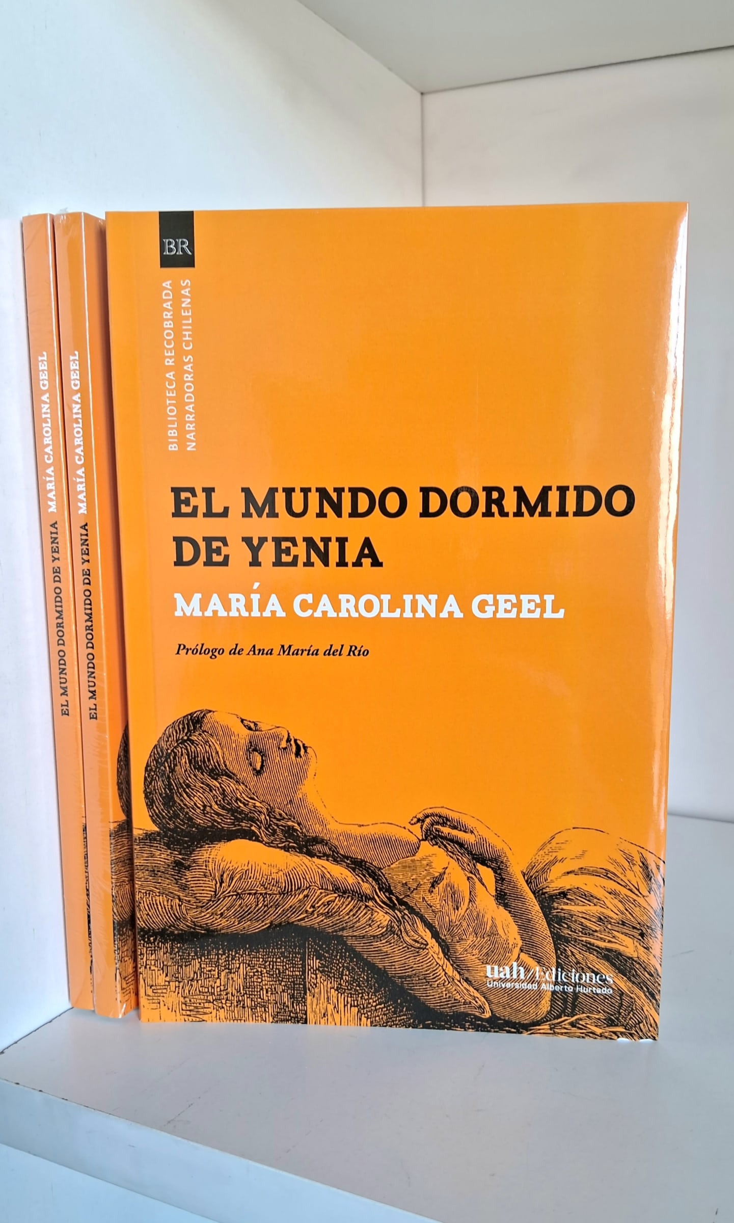 EL MUNDO DORMIDO DE YENIA | espaciopublicodelibroslibreria.cl