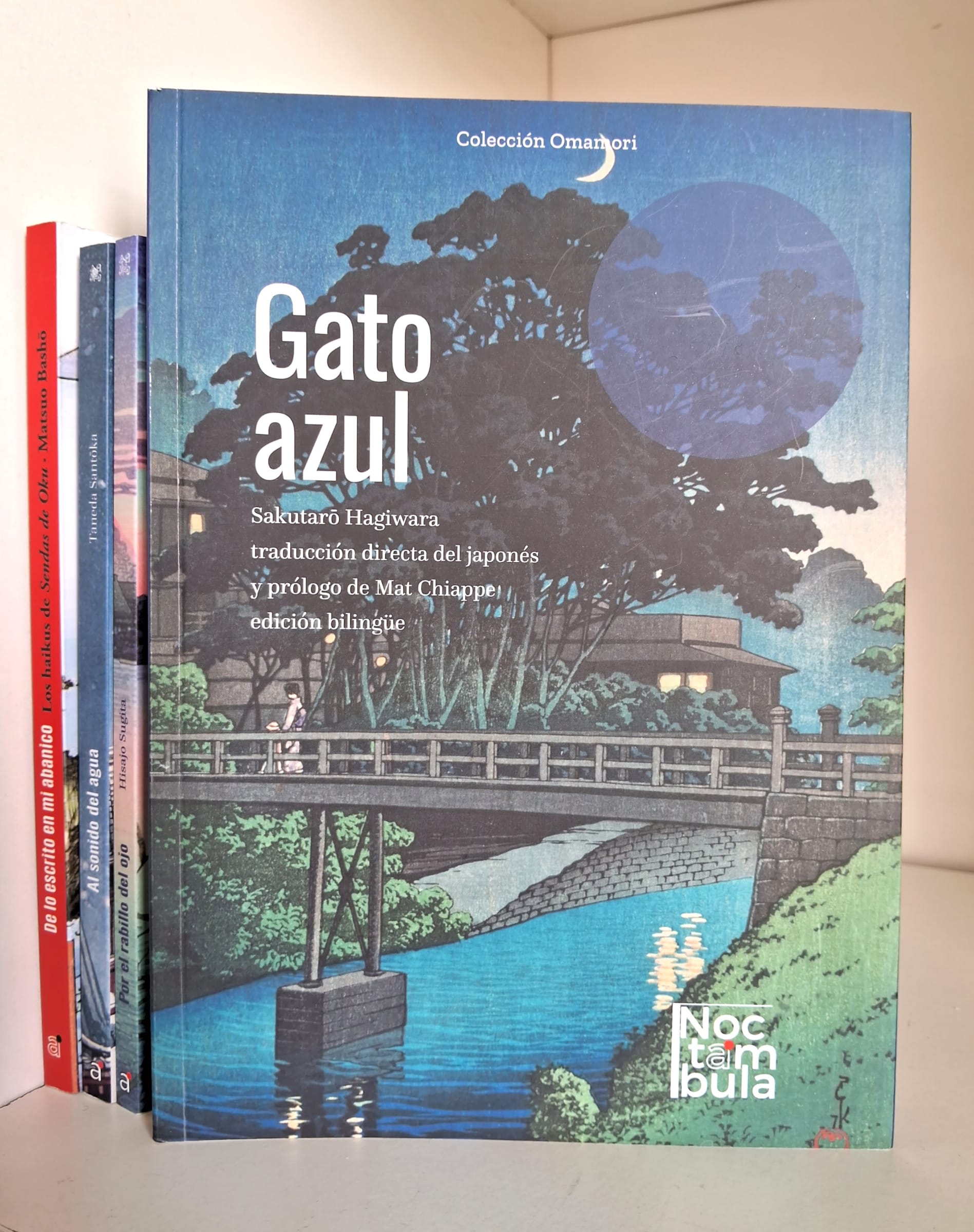 GATO AZUL | espaciopublicodelibroslibreria.cl