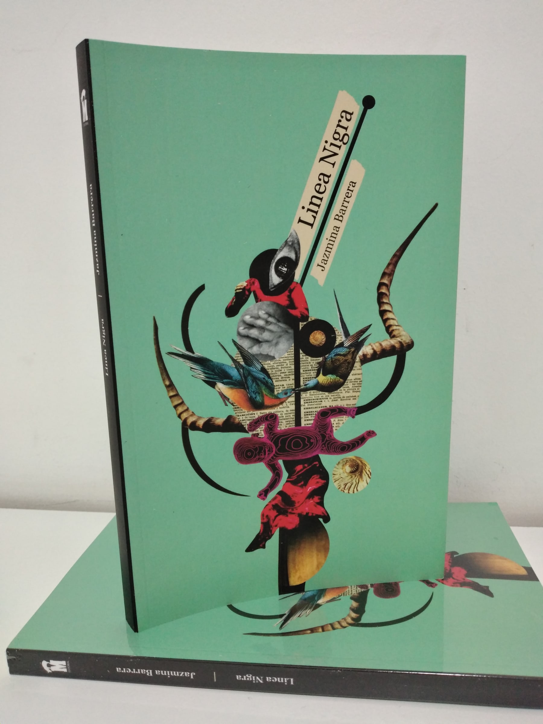 LINEA NIGRA | espaciopublicodelibroslibreria.cl