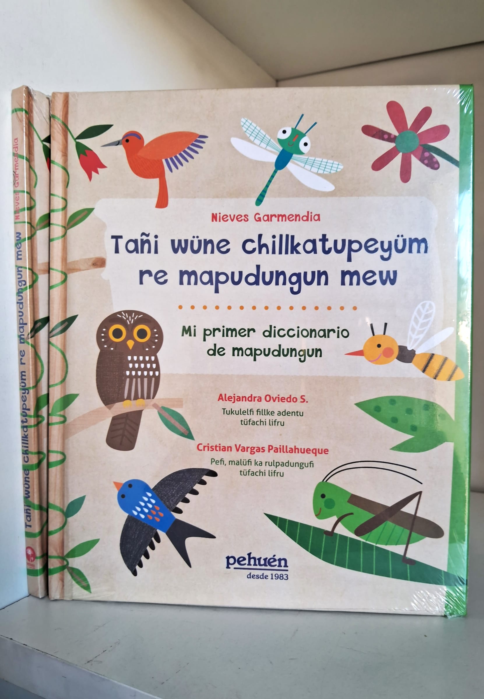 MI PRIMER DICCIONARIO DE MAPUDUNGUN | espaciopublicodelibroslibreria.cl