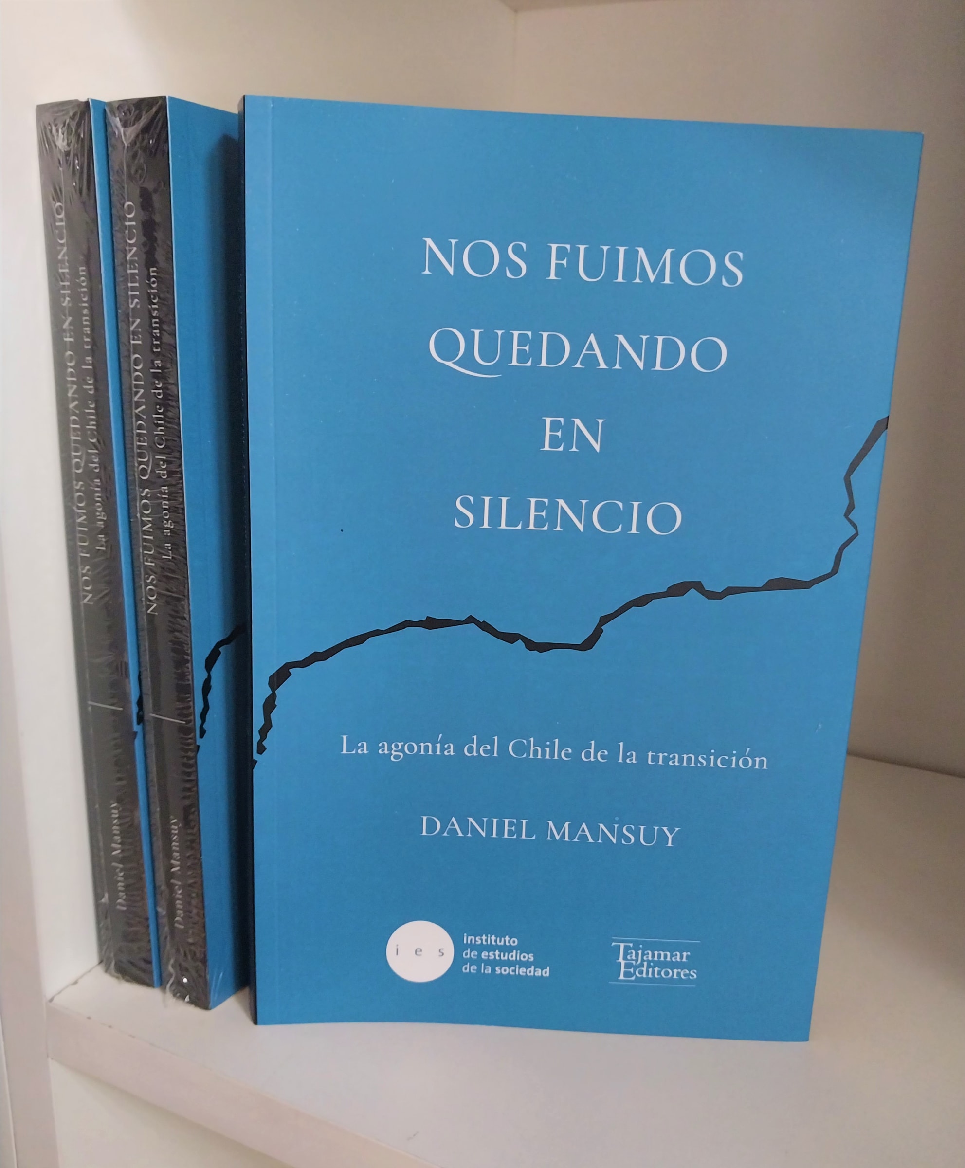 NOS FUIMOS QUEDANDO EN SILENCIO. LA AGONÍA DEL CHILE DE LA TRANSICIÓN ...