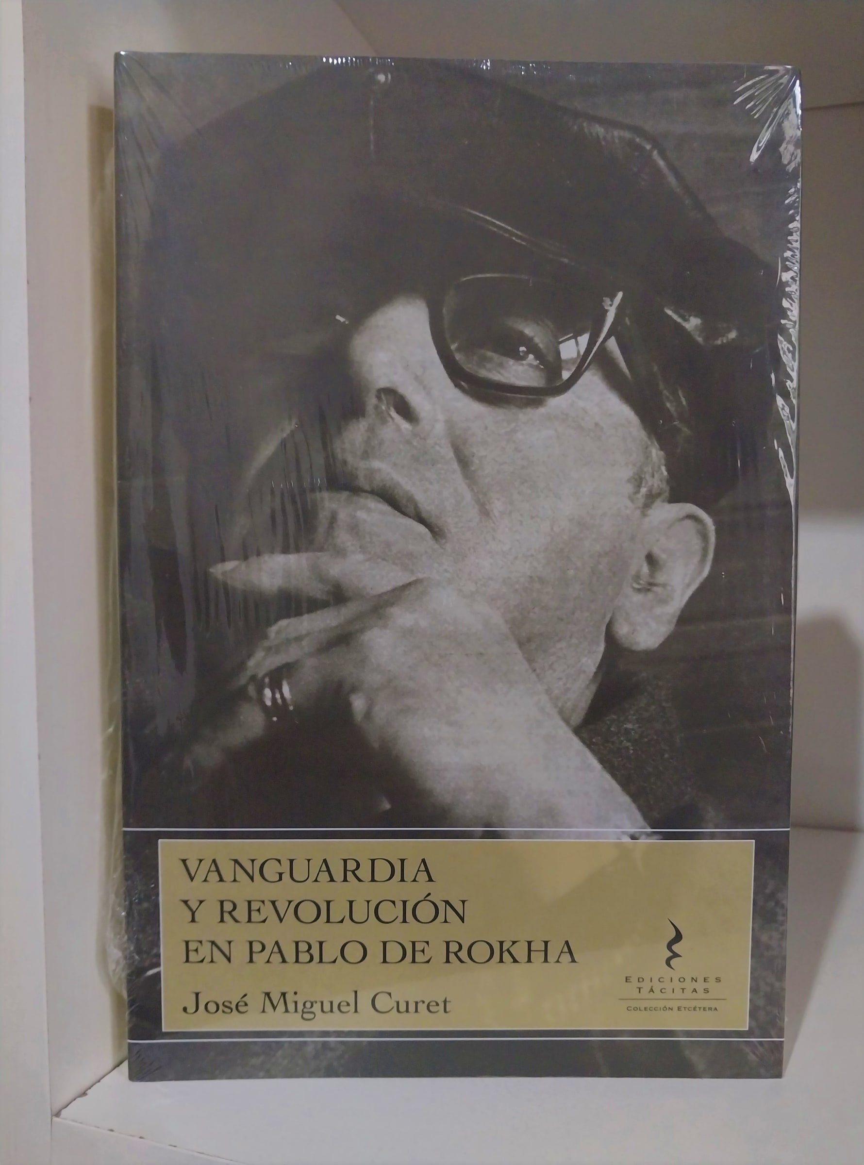 VANGUARDIA Y REVOLUCIÓN EN PABLO DE ROKHA ...