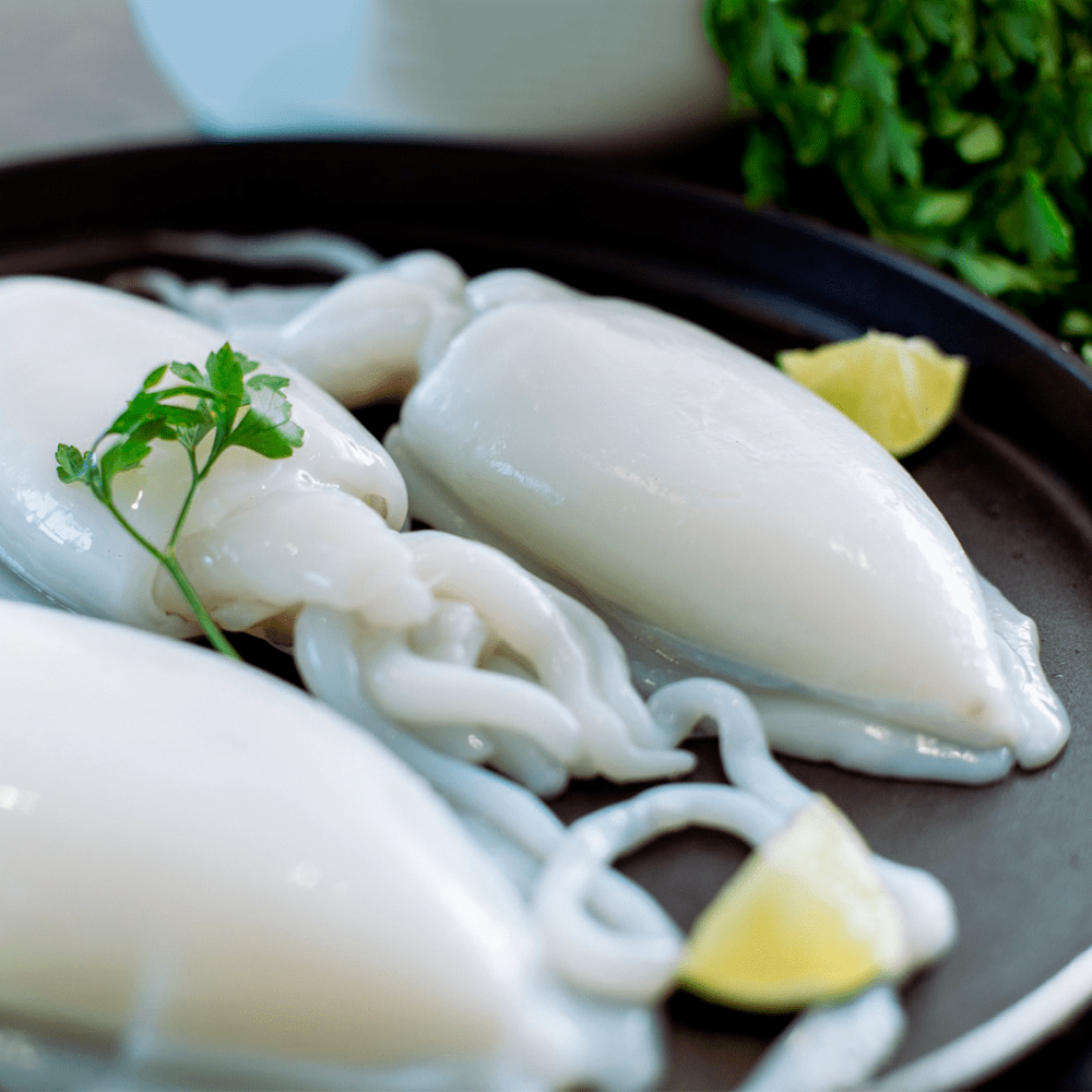 Calamar Tubo Limpio Congelado (Empaque de 500 grs) | Klikame