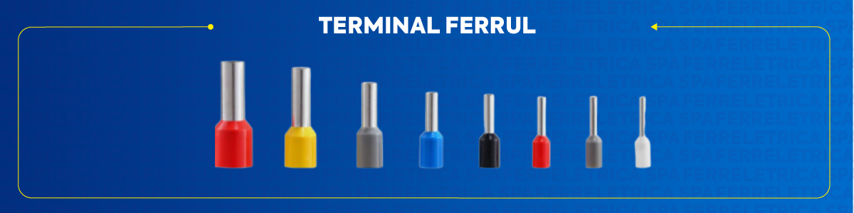 FERRUL | Ferrelectrica SPA