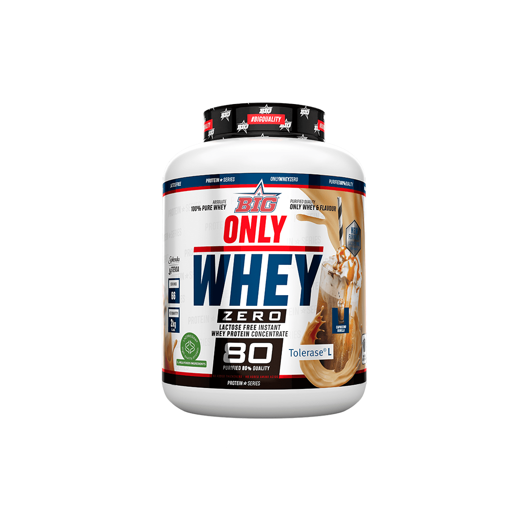 PROTEINA ONLY WHEY PROTEIN BIG (2 KG) | Suplementos Gold | Tienda de ...