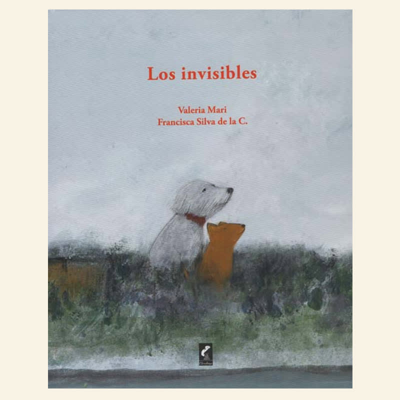 Los invisibles | Valeria Mari y Francisca Silva | Una casa de Cartón