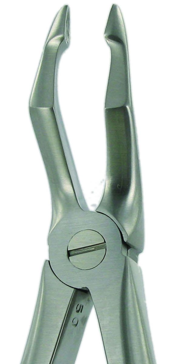 Forceps Upper Root F16 | Biomateriales Chile