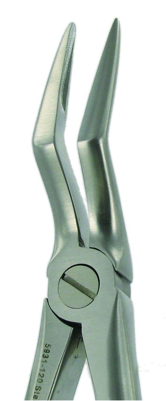 FORCEP # 51XL UPPER ROOT FORCEP | Biomateriales Chile