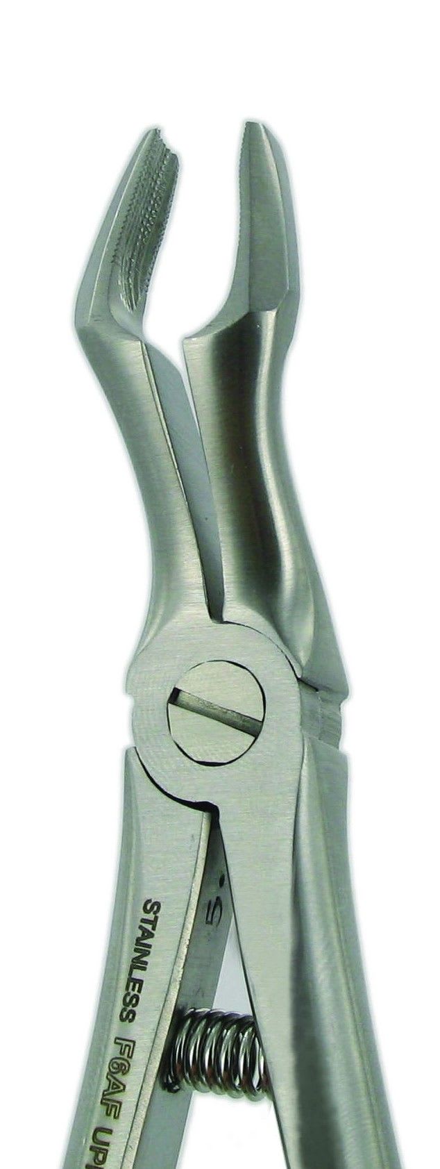 Forceps Upper 3rd Molar Wide Beak F6 | Biomateriales Chile