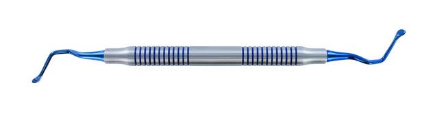 Dr. Homa Zadeh's Vista 6 | Biomateriales Chile