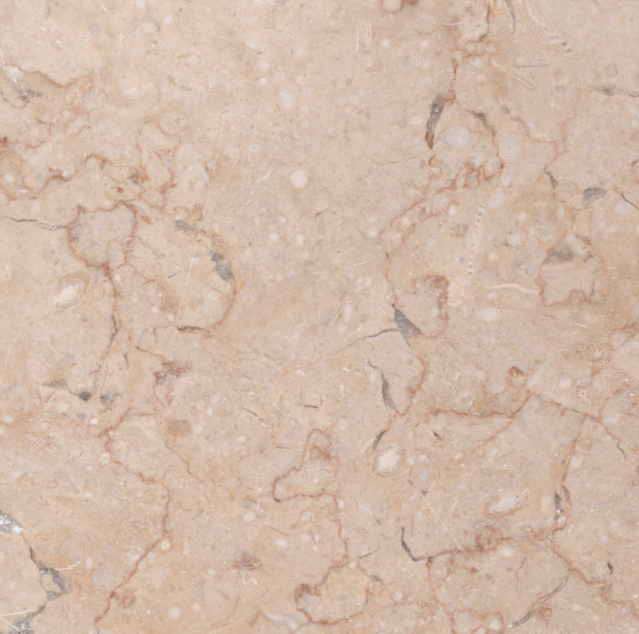 Marmol Crema Nova | Collado Marmoles