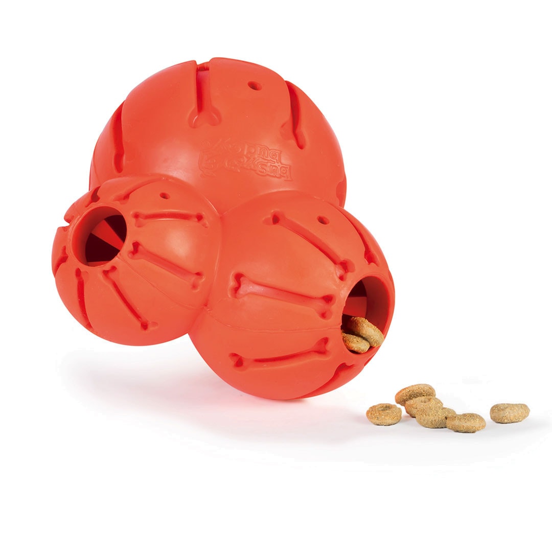 Barnacle Medium | PetSafe Chile