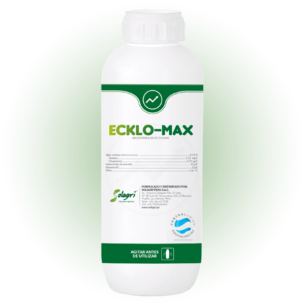 ECKLO-MAX | POSNET