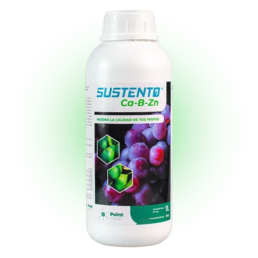 SUSTENTO CA-B-Zn | POSNET