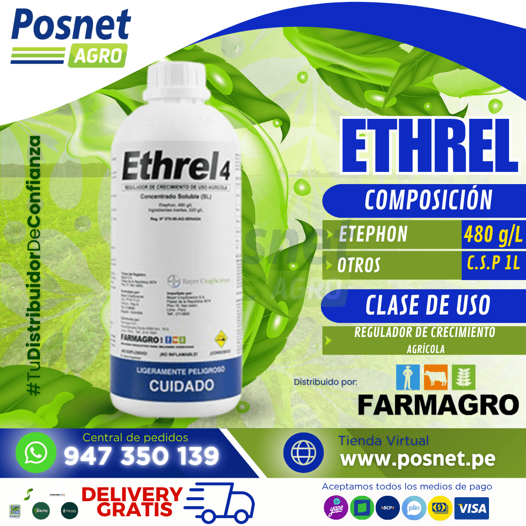 ETHREL 4 | POSNET