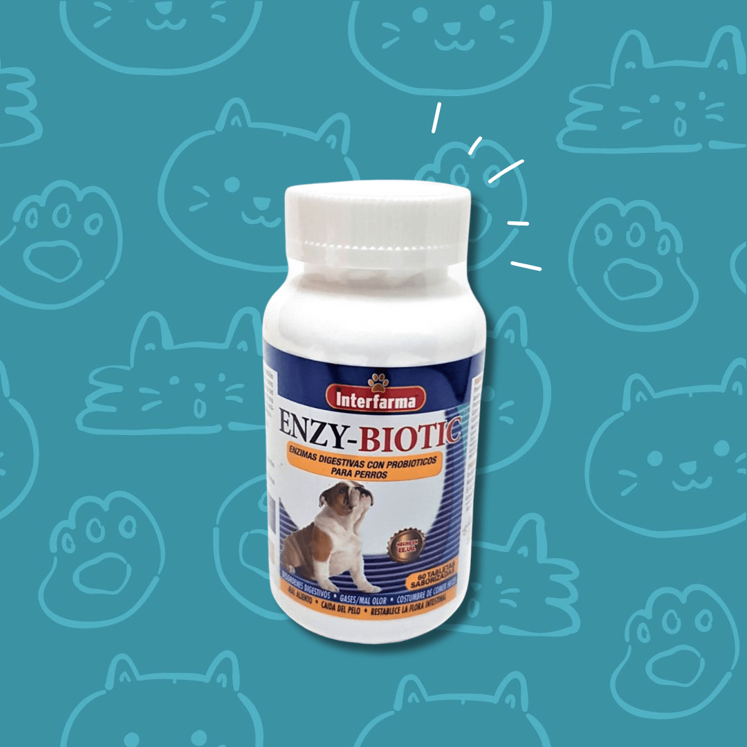 Enzy-Biotic Envase 60 comprimidos | Nortevet