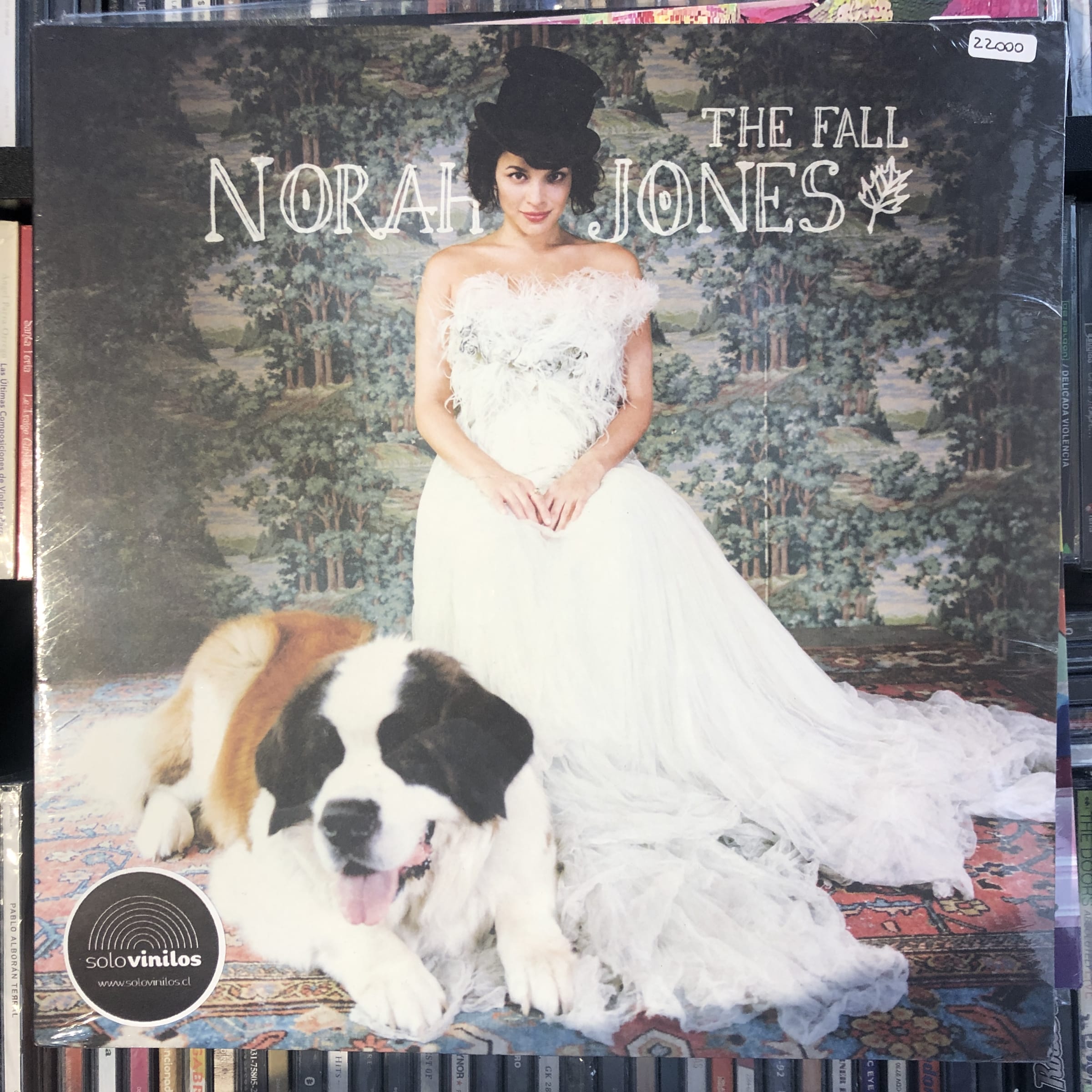 Norah Jones The Fall | Solo Vinilos