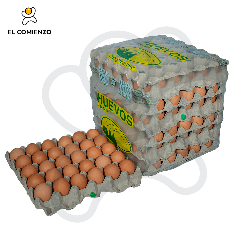 DEL SUR PRIMERA COLOR 180 UNID | El Comienzo