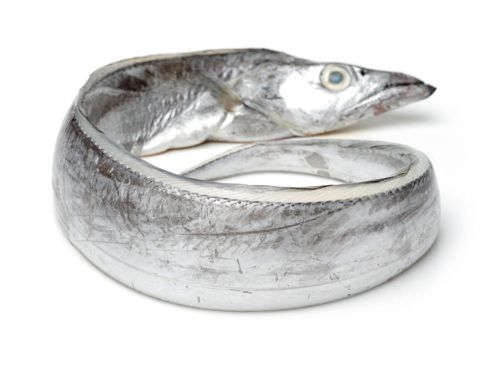 Caja Pez Sable 7.5KG | HANA SEOUL SPA