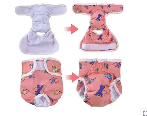 Calzón de Celo Ecológico Talla M | PEDIDOS PET