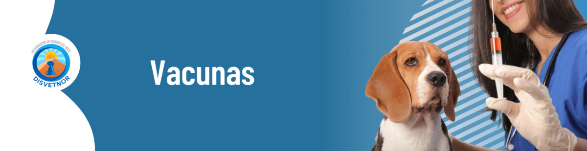 Vacunas | DISVETNOR | Distribuidora Veterinaria Del Norte SPA
