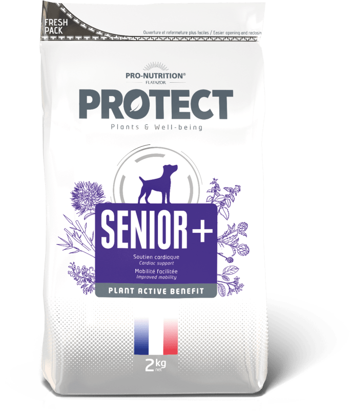 ALIMENTOS PARA PERRO SENIOR | OH! FARMACIA VETERINARIA