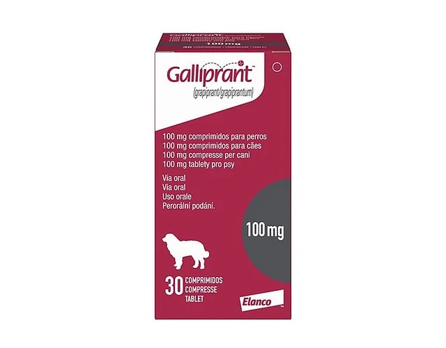 GALLIPRANT 100 mg | OH! FARMACIA VETERINARIA