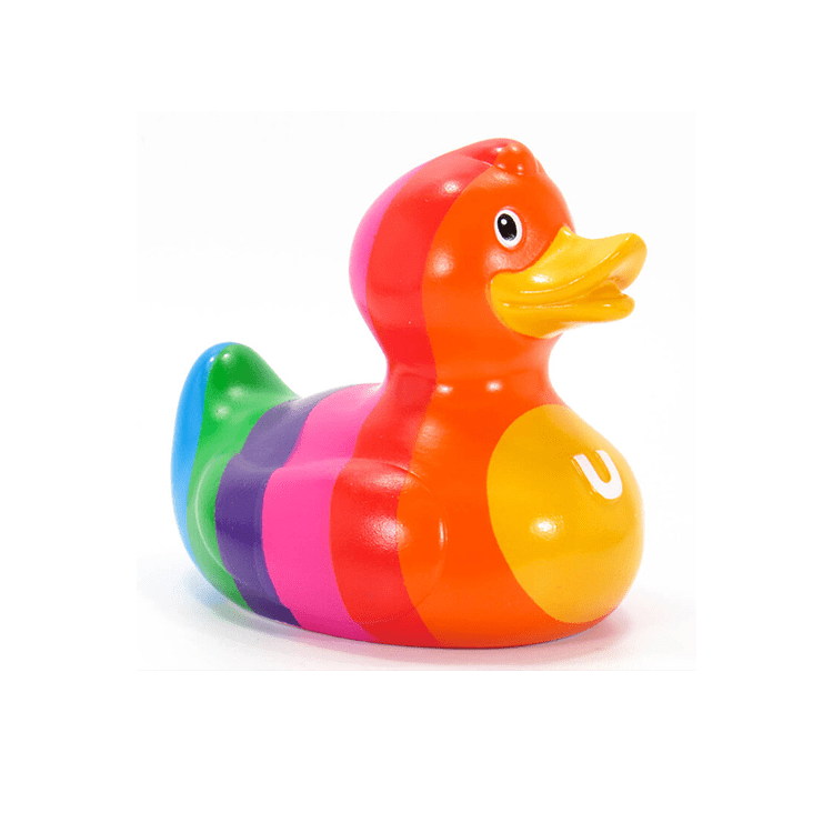 Luxury Mini Rainbow Duck | Duckhouse