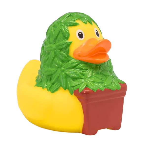 Cannabis Duck | Duckhouse
