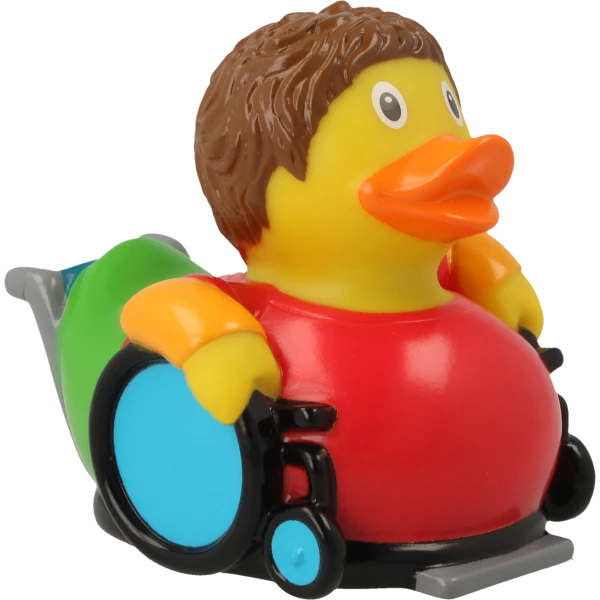 Wheelchair Duck | Duckhouse